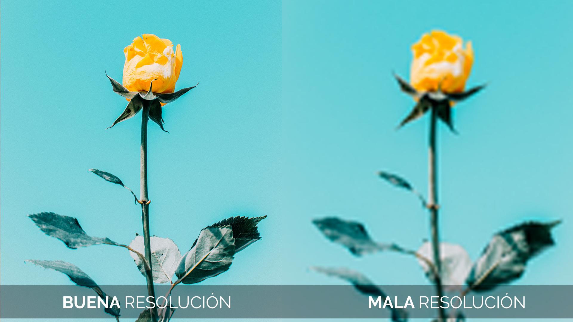 elhacker.INFO - Descargas Cursos, Manuales, Tutoriales y Libros